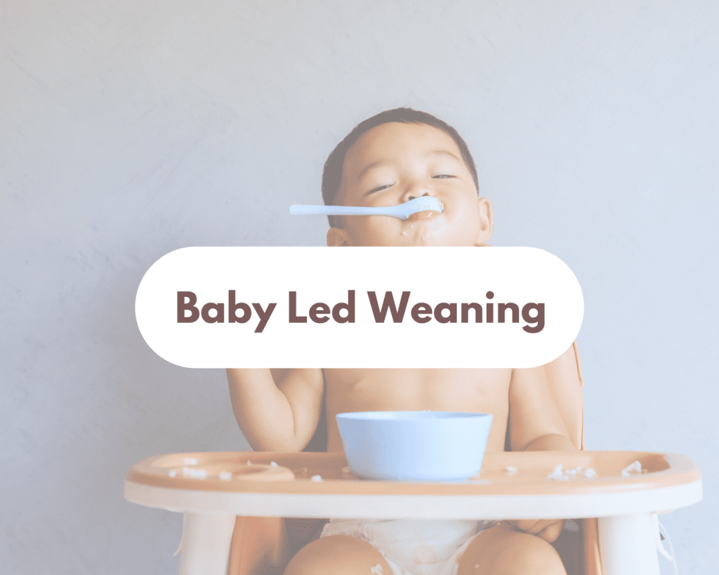 Baby-Led Weaning - Low Stress Motherhood - Mom Blog